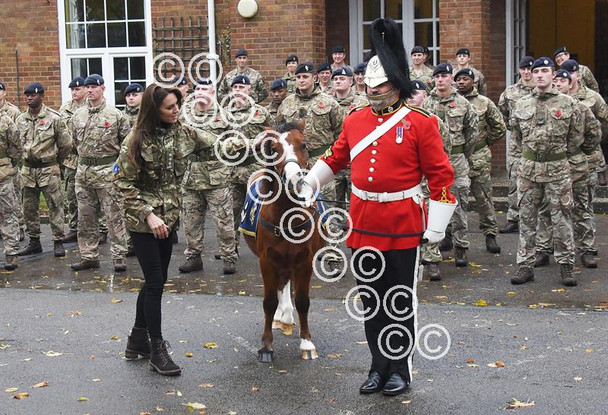 39888396-The Princess of Wales promotes Trooper Longface Emrys Jones, a ...