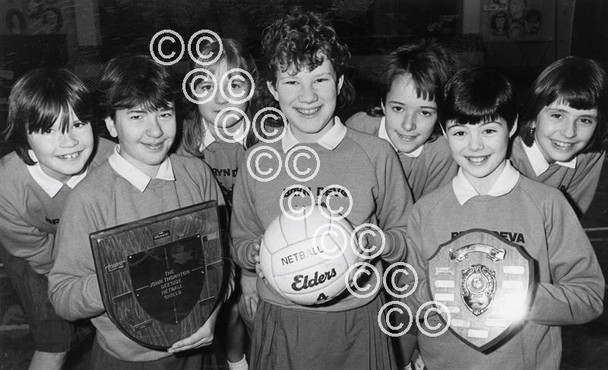 39926440-Netball team members from Ysgol Bryn Deva, carried off the ...