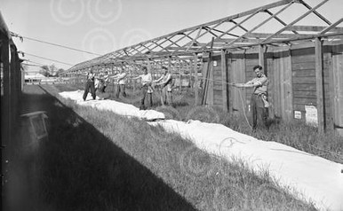 30367804-Dumfries Highland ConstructionDumfries, DumfriesshireJun 1954 ...