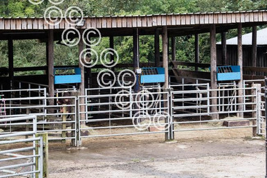 39582095-The Landers have custom built bull pens to make the job easy ...