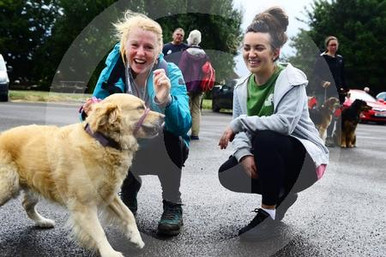 39558047-Pack Walk ; Walk and Train at Apex Park ; Burnham ; Teresa ...