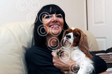 29798877-Chris Nolan and Gemma Southview Close, Rayleigh Job Details ...