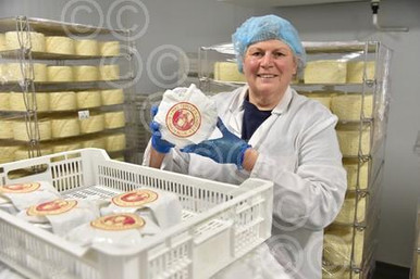 39372504-Creating award-winning cheese at Mrs Temple s Cheese in ...