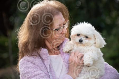 39371312-Issy and Rob Woolnough and their three dogs, have been told by ...