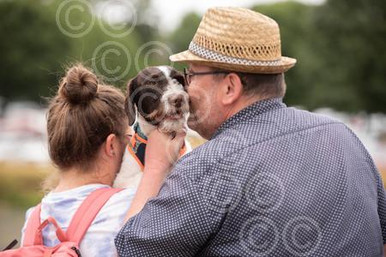 39526412-Hundreds of dog owners and their pooches visited Helmingham ...
