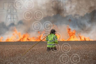 39536471-Firefighters are currently on scene of a large field fire near ...