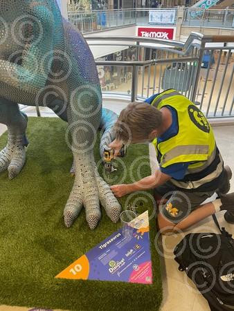 39048807-GoGoDiscover 2021 T. rex Trail - Newsquest | Newsprints