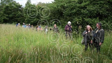 39044242-People enjoying one of the Norfolk Wildlife Trust walks around ...