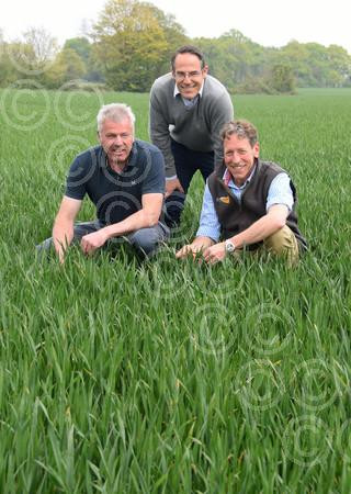 39439621-Norfolk farmer Nick Gowing, left, discusses crop nutrition ...
