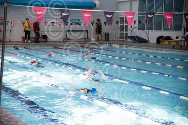 39408036-Triathlon swimmers at Bury Leisure Centre PICTURE: CHARLOTTE ...
