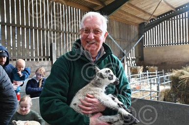 39408022-A scene from the lambing open day at Felbrigg Hall Farm ...