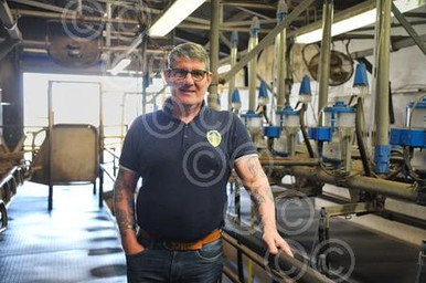 39376640-Steven Meikle, son of Ian, working at Gulpher dairy farm in ...