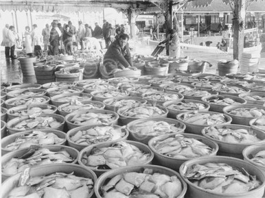 39663896-Lowestoft, Suffolk -- Fishing and Industry; Lowestoft Fish ...