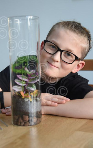 39664087-Olly Champion, 11, with one of his a terrariums. - Newsquest ...