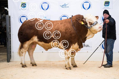 39666850-Auchorachan Lethal Weapon from Michael Durno sold for 9000gns ...