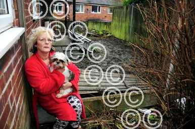 26710406-Craven Place, Johnson Fold , Bolton. Julie Grundy s fence has ...