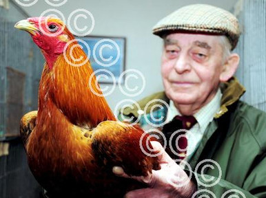 26710414-Royal British Legion, Central Street, Ramsbottom. Annual Olde ...