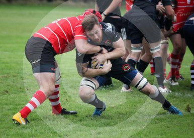 35501812-L-R Scott Parry and Toby O Loughlin. Photo: Vicky Scipio ...