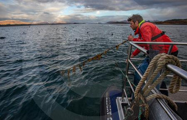 39324494-Dr Adrian Macleod, a marine scientist with the Scottish ...