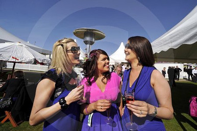 14578937-Punters soak up the sun at the Scottish Grand National at Ayr ...