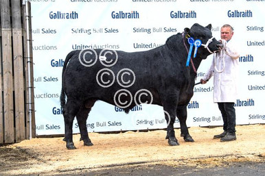 39707001-Retties Riverdance from Richard and Carol Rettie sold for ...