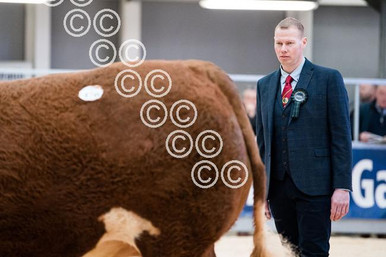 39707017-Gary Wright from Glenlivet was the pre-sale judge for the ...