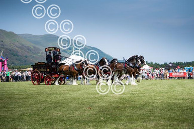 39727045-The Clydesdale six horse team display driven by Ron Brewster ...