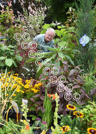 39801205-Darren Forster, Barnby Nursery and Garden Centre owner, at his ...