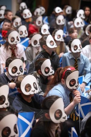 19846667-Pupils at Alexandra Parade Primary got a taste for Panda Fever ...