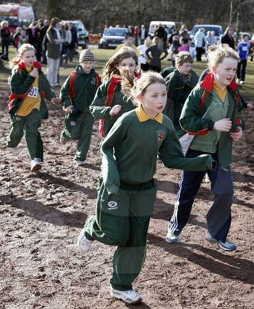 14328206-Pictures Mark Gibson Herald&Times 1000 primary pupils from ...