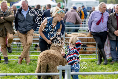 39850778-Reeth Show 2023 Picture: SARAH CALDECOTT 432627672-dar HC 29 ...