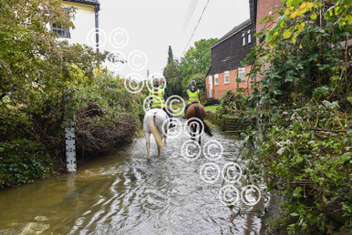 39880677-Water Lane. The aftermath of Storm Babet in Debenham PICTURE ...