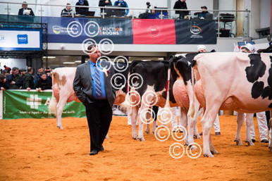 39931570-Judge Nathan Thomas takes his final walk drown this Holstein ...