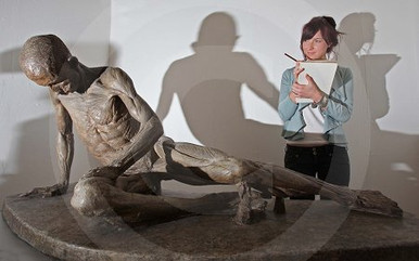 13953624-Edinburgh College of Art student Hannah Cumming sketches the ...