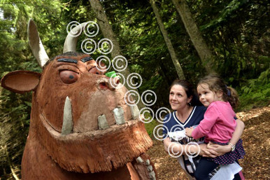 39937806-The Foresrty Commission have installed a seven foot high ...
