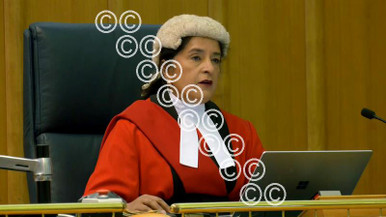 39971531-Screen grab taken from PA Video of judge Mrs Justice Cheema ...