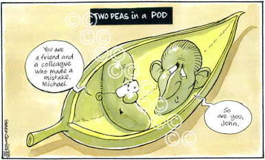 39978008-Our cartoonist Steven Camley's take on Swinney and Matheson ...