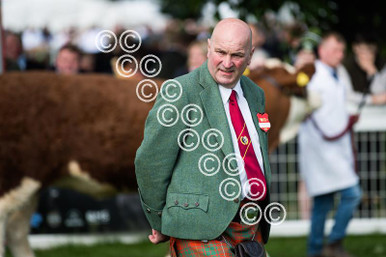 39991693-Michael Durno looks over the Simmental section Ref ...