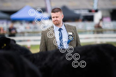 40015535-Martin Barker judged the inter-breed cattle competition Ref ...