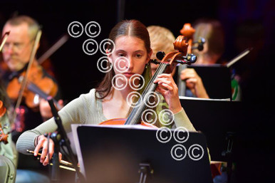 40024973-Disney's ALADDIN first ever 'Music Play Day' will take place ...