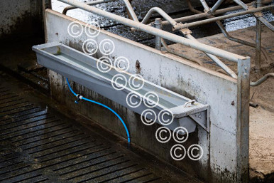 40028964-Maintaining clean water is made easier with these fast ...