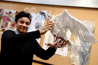 40047500-T-BIRD: Cockermouth School art pupil Tom Stainton has made a ...