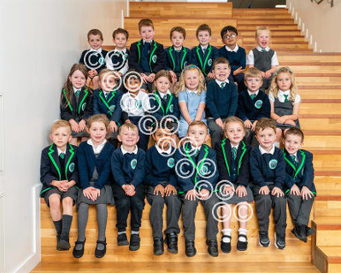 40057604-CCAI_Lenzie Meadow Primary P1A - Newsquest | Newsprints