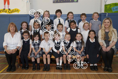 40059995-Primary 1 Pictures 2024.Mosspark Primary School .Class P1a ...