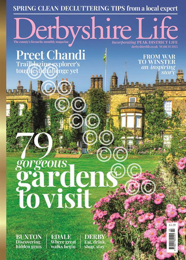 40099031-Derbyshire Life - MAR 580287102-nqsussex APS 13 Feb 2025 LIFE ...