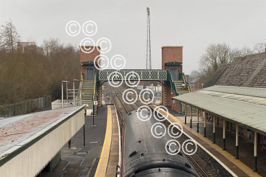 40114480-The new bridge at Newtown Railway Station. Image: Anwen Parry ...