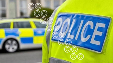 40123788-Deer loses hind legs after being mauled by a dog in Amberley ...