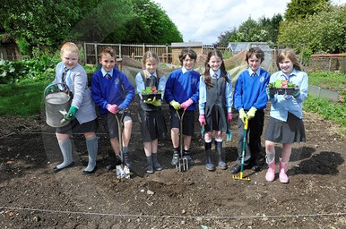 17515925-Picture Nick Ponty Our Lady of the Annunciation Primary has ...