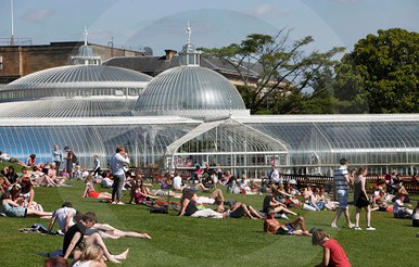 18101873-Crowds enjoying the sun in the Botanic Gardens park in the ...