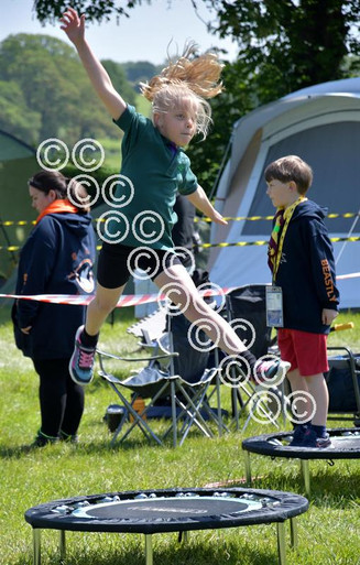 40326858-Beastly 2025 Image: Sean Dillow 589639832-nqsw BG May 19 Pic ...